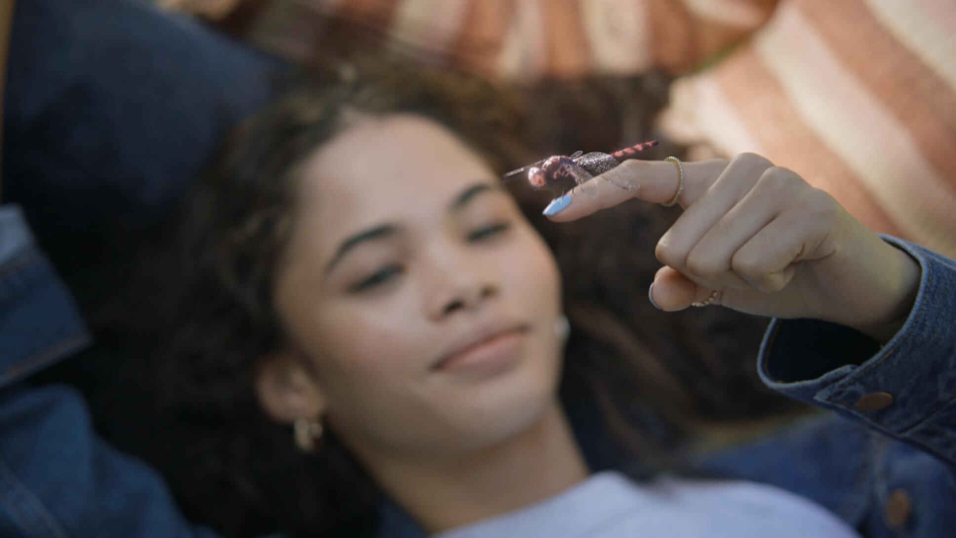 Bugaboo Dragonfly - City stroller | Bugaboo